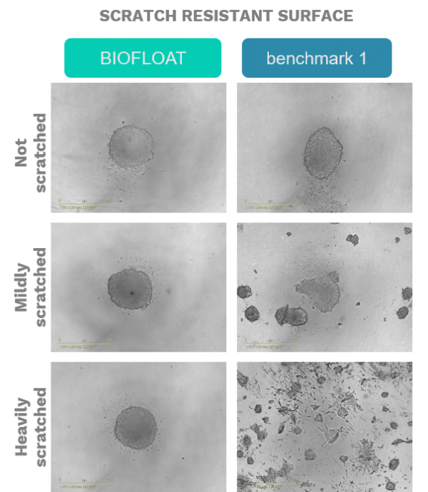 faCellitate BIOFLOAT™96孔球状细胞培养板 – 杰诺迪（北京）科技有限公司