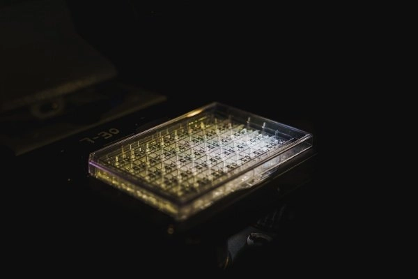 idenTx 40 培养板 – 杰诺迪（北京）科技有限公司